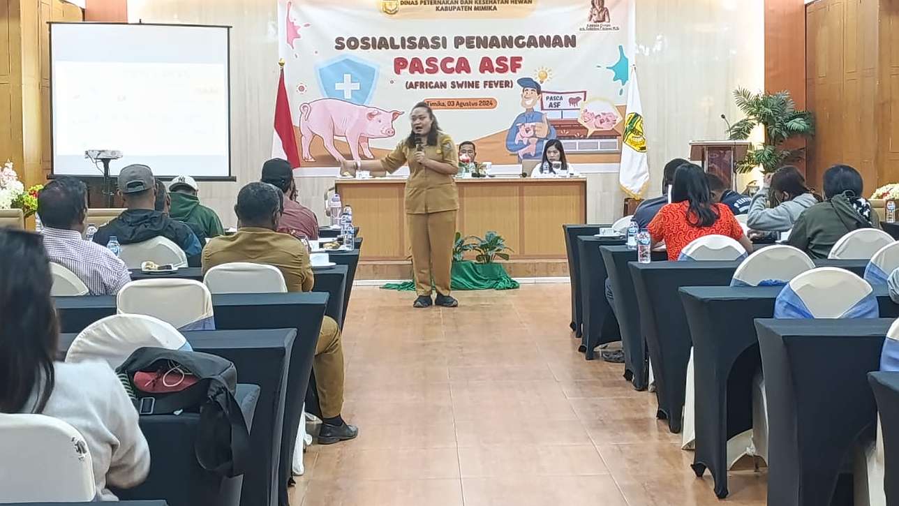 Ini Upaya Disnakeswan Bangkitkan Peternak Babi Pasca ASF - Papua60Detik