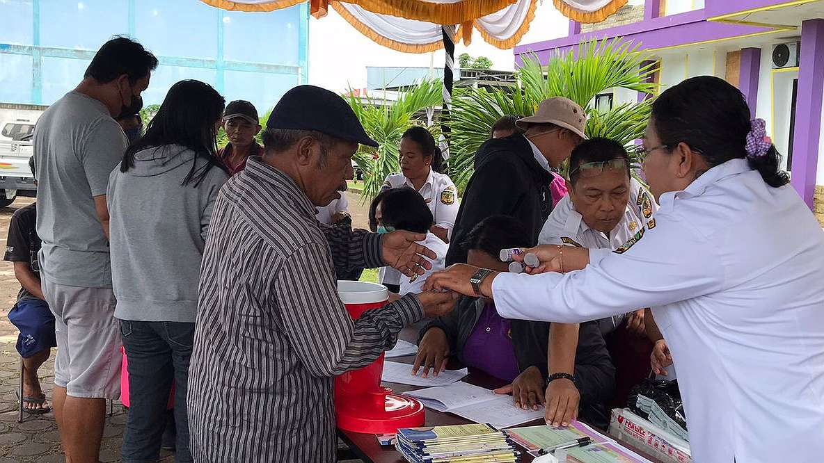 Tekan Kematian Ternak Babi, Disnakeswan Siapkan 5000 Serum Konvalesan ...